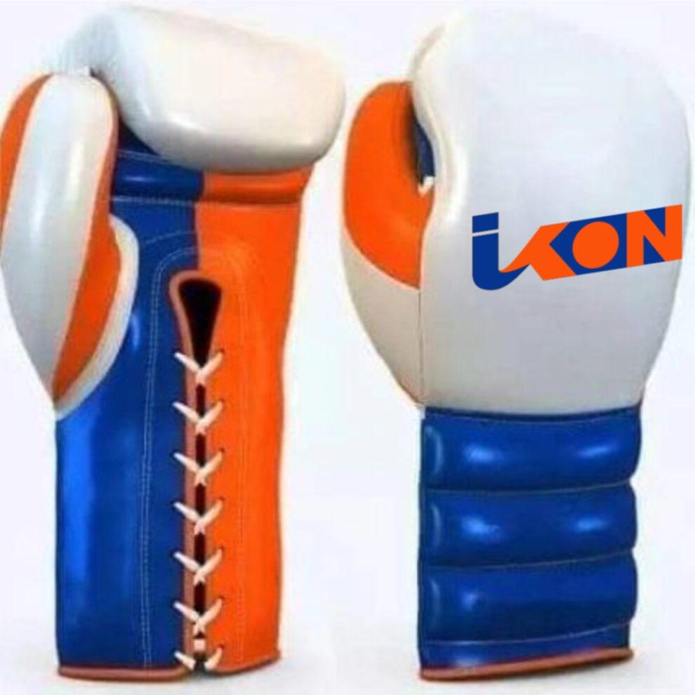 BOXING GLOVES – Ikon Sports